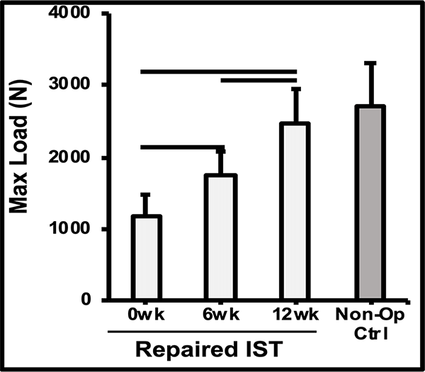 Dr. Sigman’s Experience with BioBrace Reinforced Implant | CONMED Blog